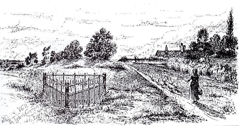 Upminster Common Revealed: Part 1 – Bird Lane and around Tylers Common ...