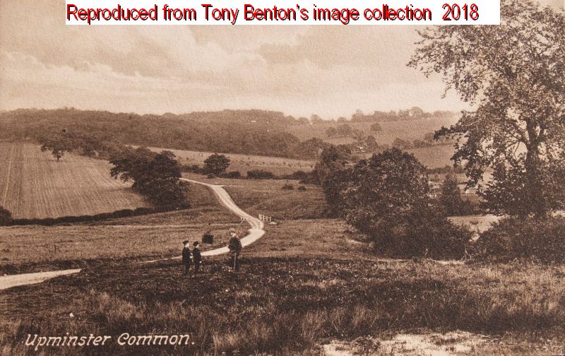 Upminster Common Revealed: Part 1 – Bird Lane and around Tylers Common ...